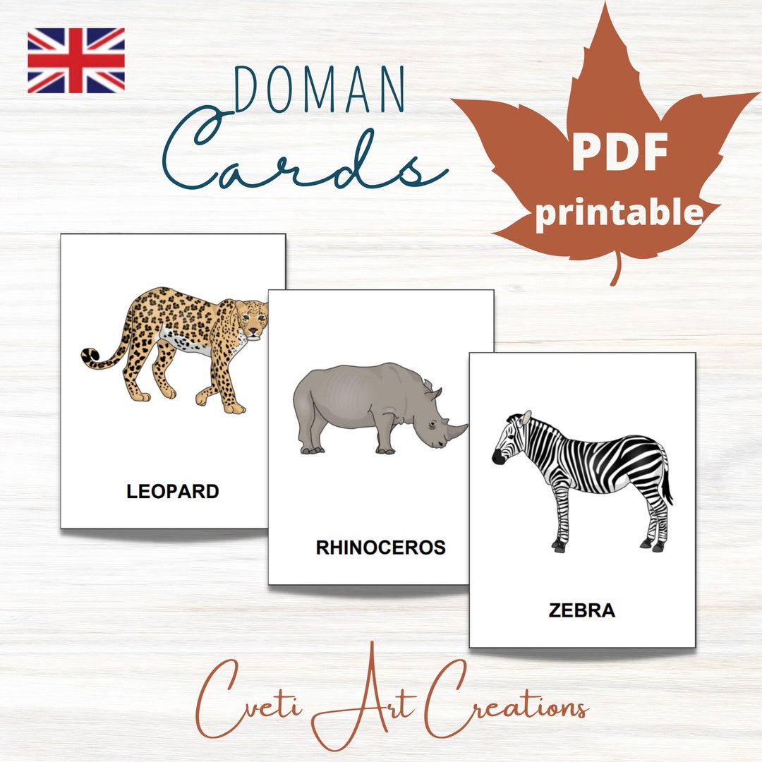 SAFARI ANIMALS Card Material * 15 Montessori Nomenclature Flash Cards ...
