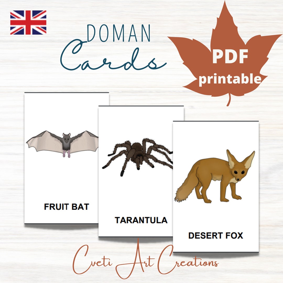 DESERT ANIMALS Card Material * 7 Montessori Nomenclature Flash Cards ...