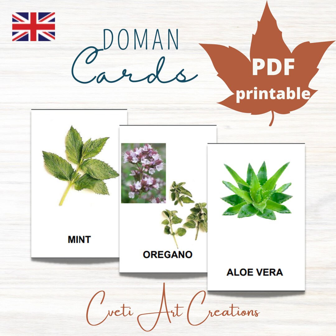 HERBS Card Material * 10 Montessori Nomenclature Flash Cards ...
