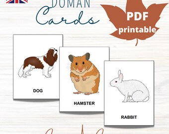 OCEAN ANIMALS Card Material 23 Montessori Nomenclature Flash | Etsy