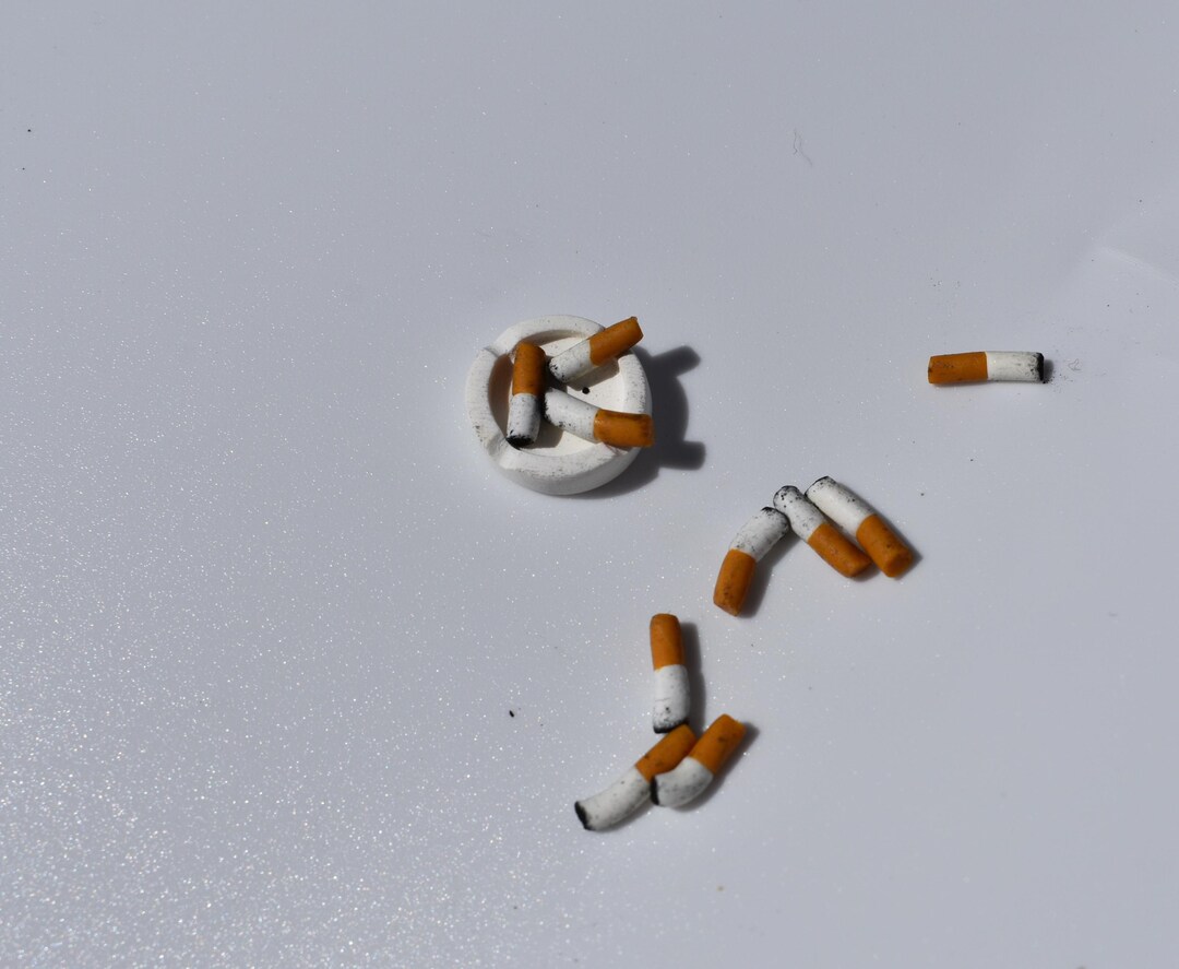 10 Used Cigarette Butts 1:12 Scale | Loose Miniature Diorama Accessory ...
