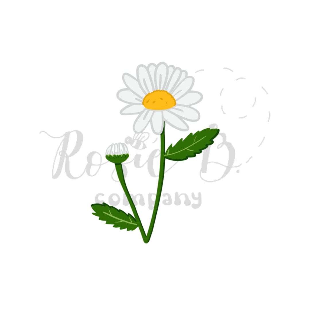 Simple Daisy Digital Art PNG - Etsy