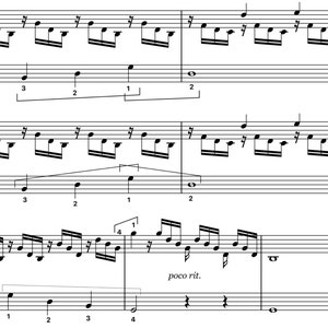 Burgmuller the Swallow for Harp Solo - Etsy