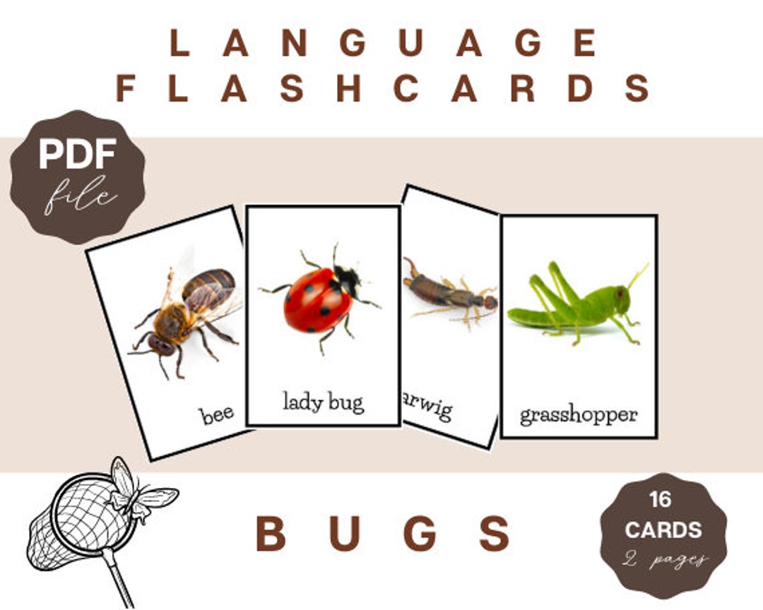 Montessori Language Flashcards: Bug & Insect Cards for Toddlers and ...