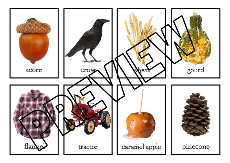 Montessori Language Flashcards: Fall/autumn Vocabulary for Toddlers and ...