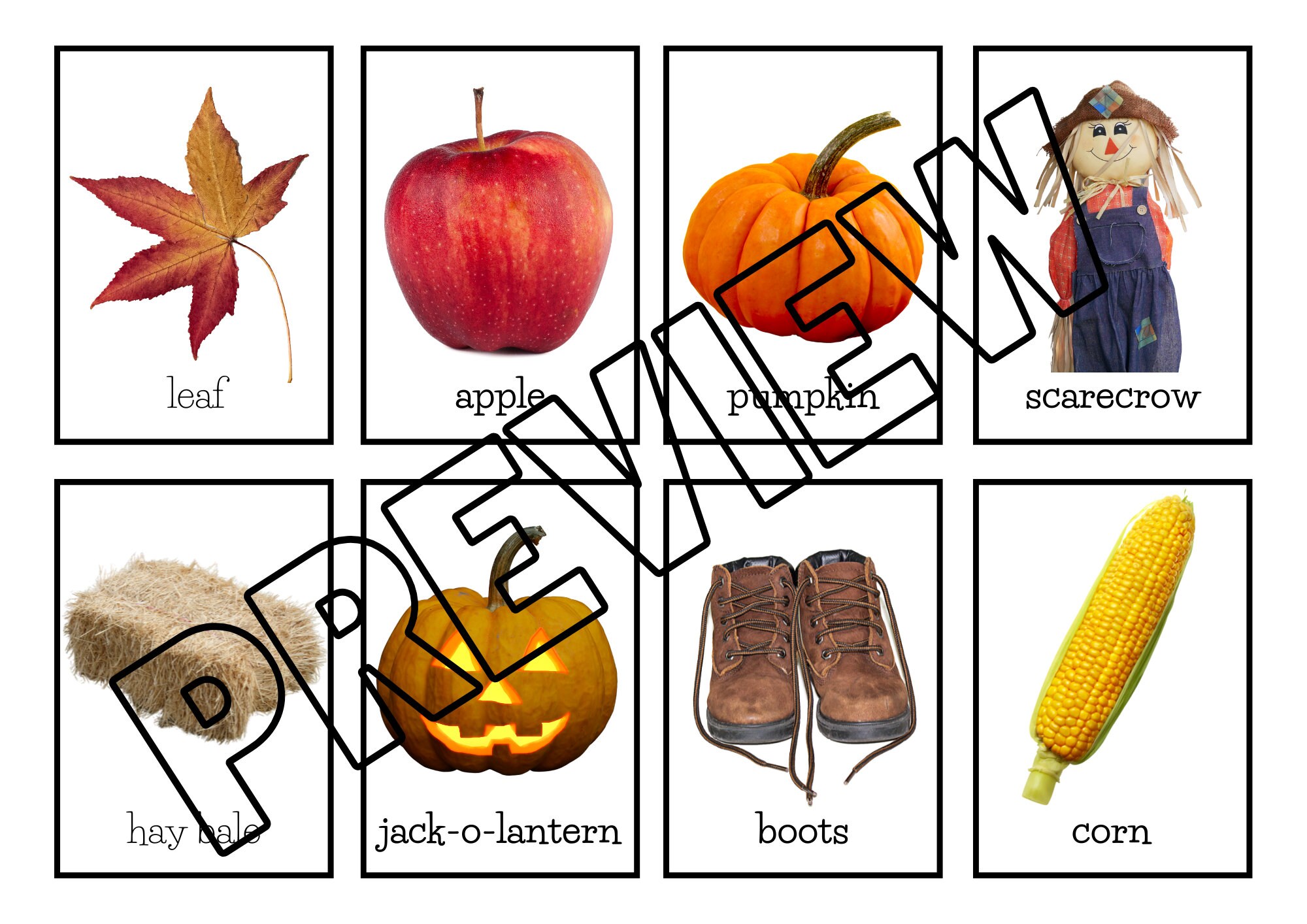 Montessori Language Flashcards: Fall/autumn Vocabulary for Toddlers and ...