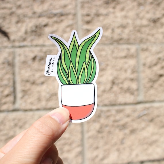 Vinyl Sticker Snake Plant Weatherproof Matte Glossy Vinyl - Etsy