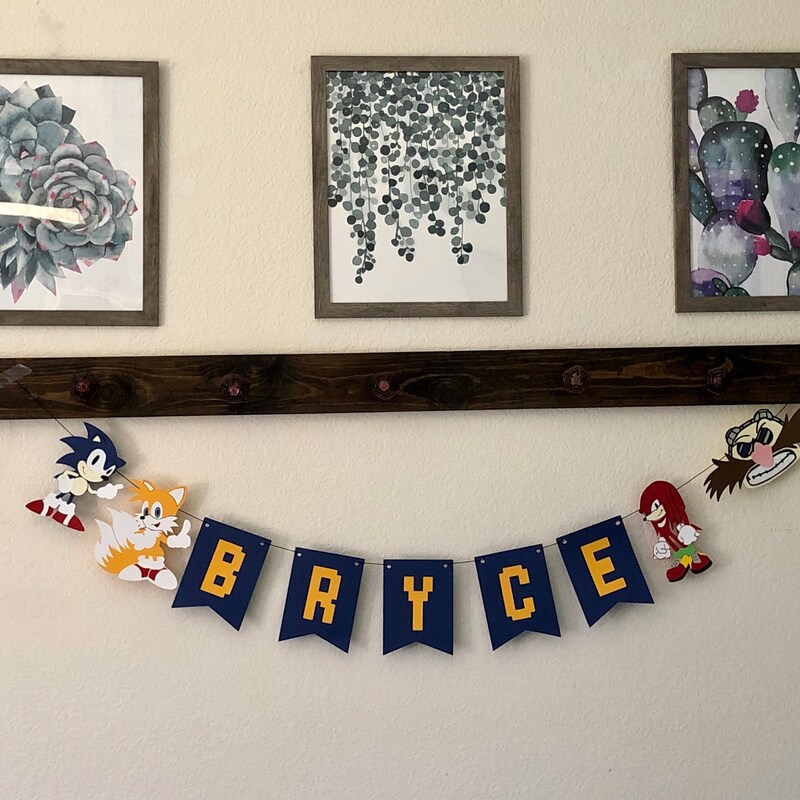 Sonic the Hedgehog Banner - Etsy