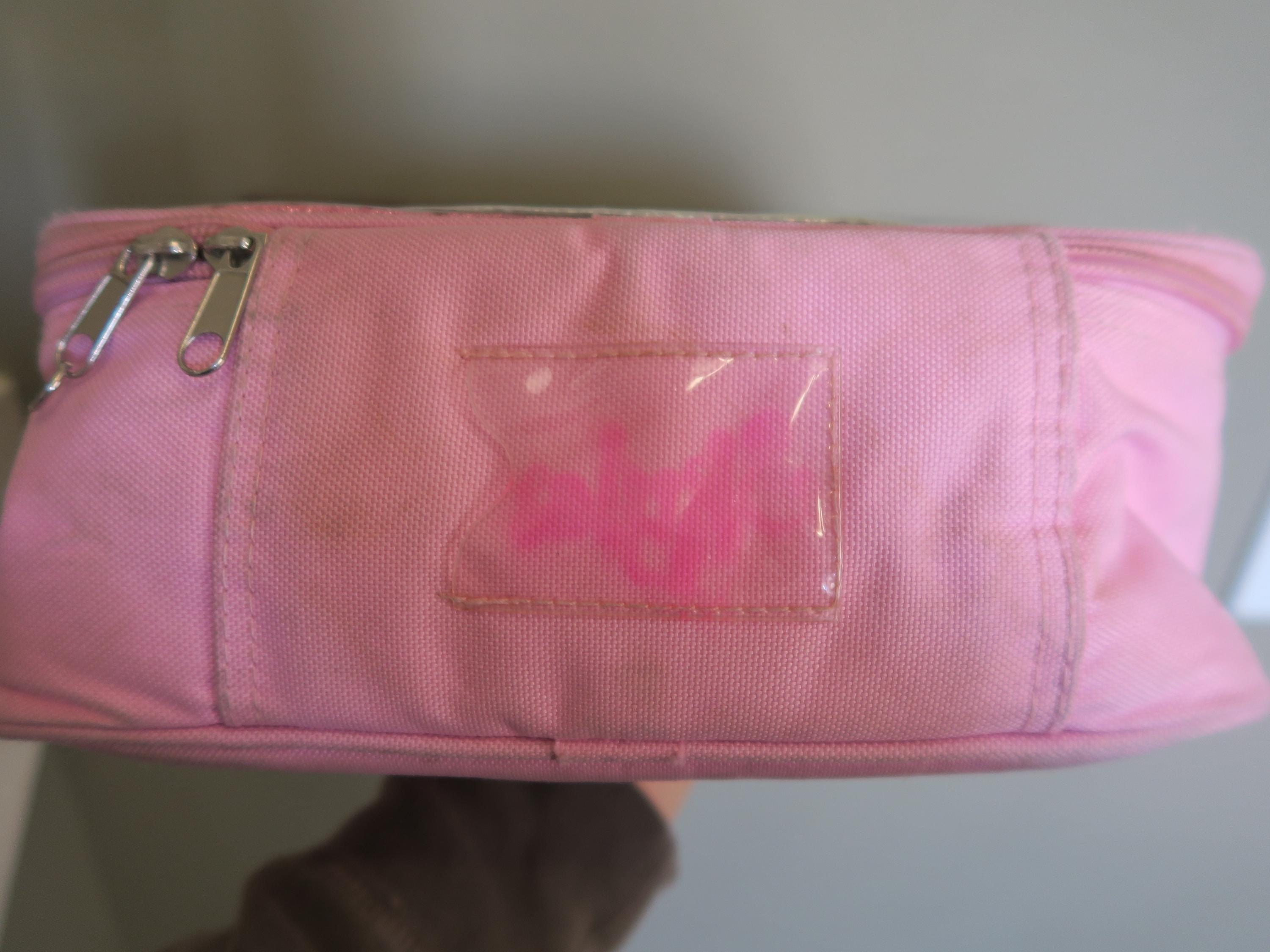 2000s Nostalgic Kim Possible Pink Lunch Box - Etsy
