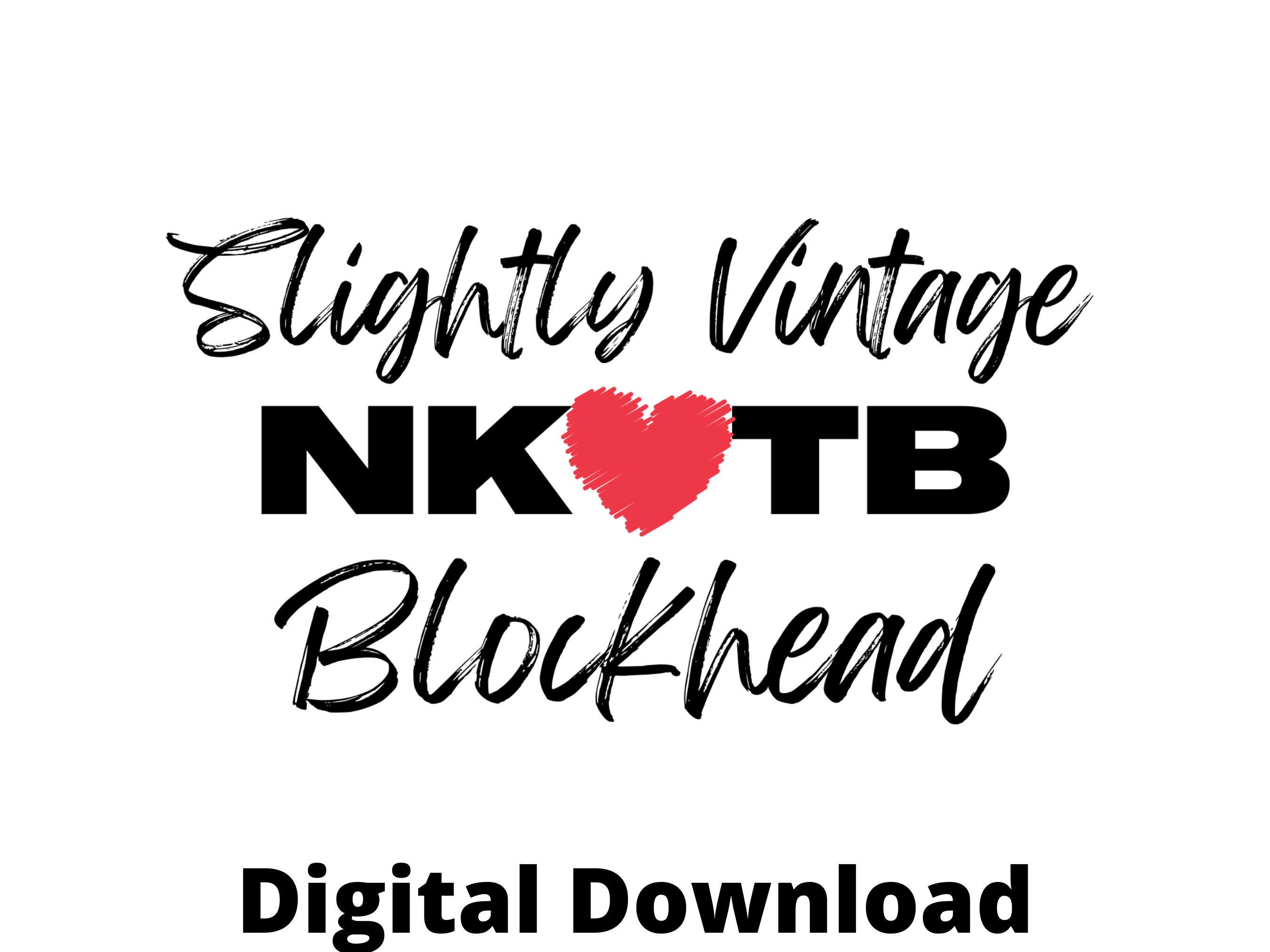 Slightly Vintage NKOTB Blockhead New Kids on the Block Blockhead ...