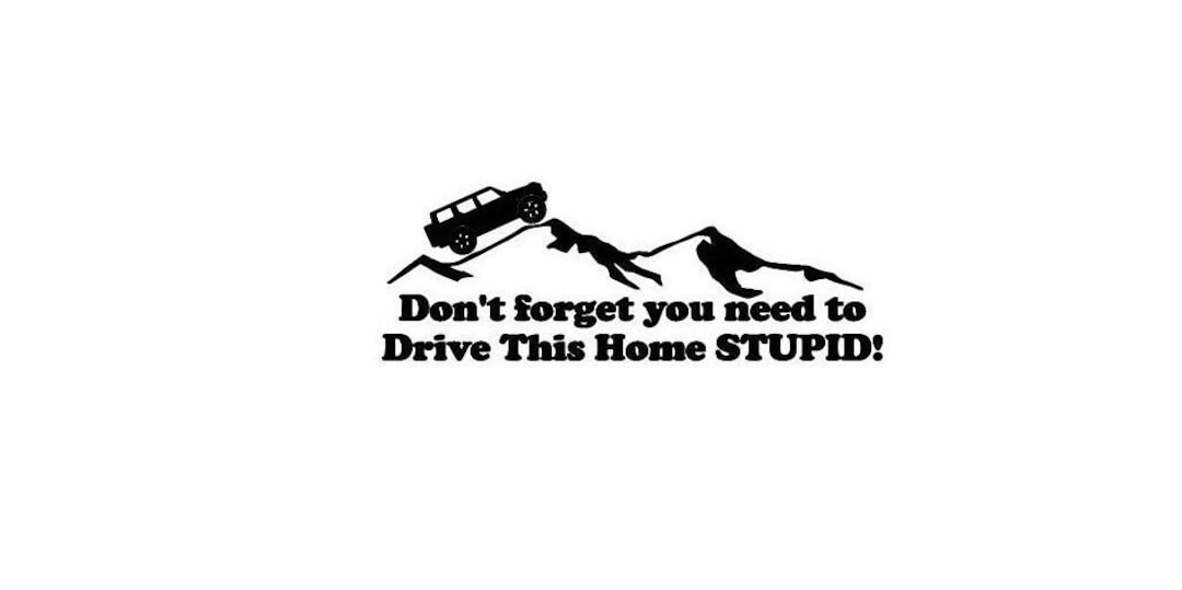 Bronco - Don't Forget You Need to Drive This Home STUPID! - Etsy