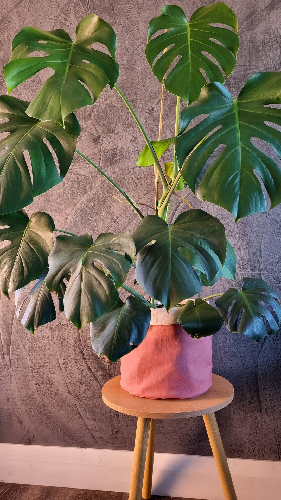 Cotton Calico Reversible Fabric Pot Plant Covers Pink Mahogany - Etsy