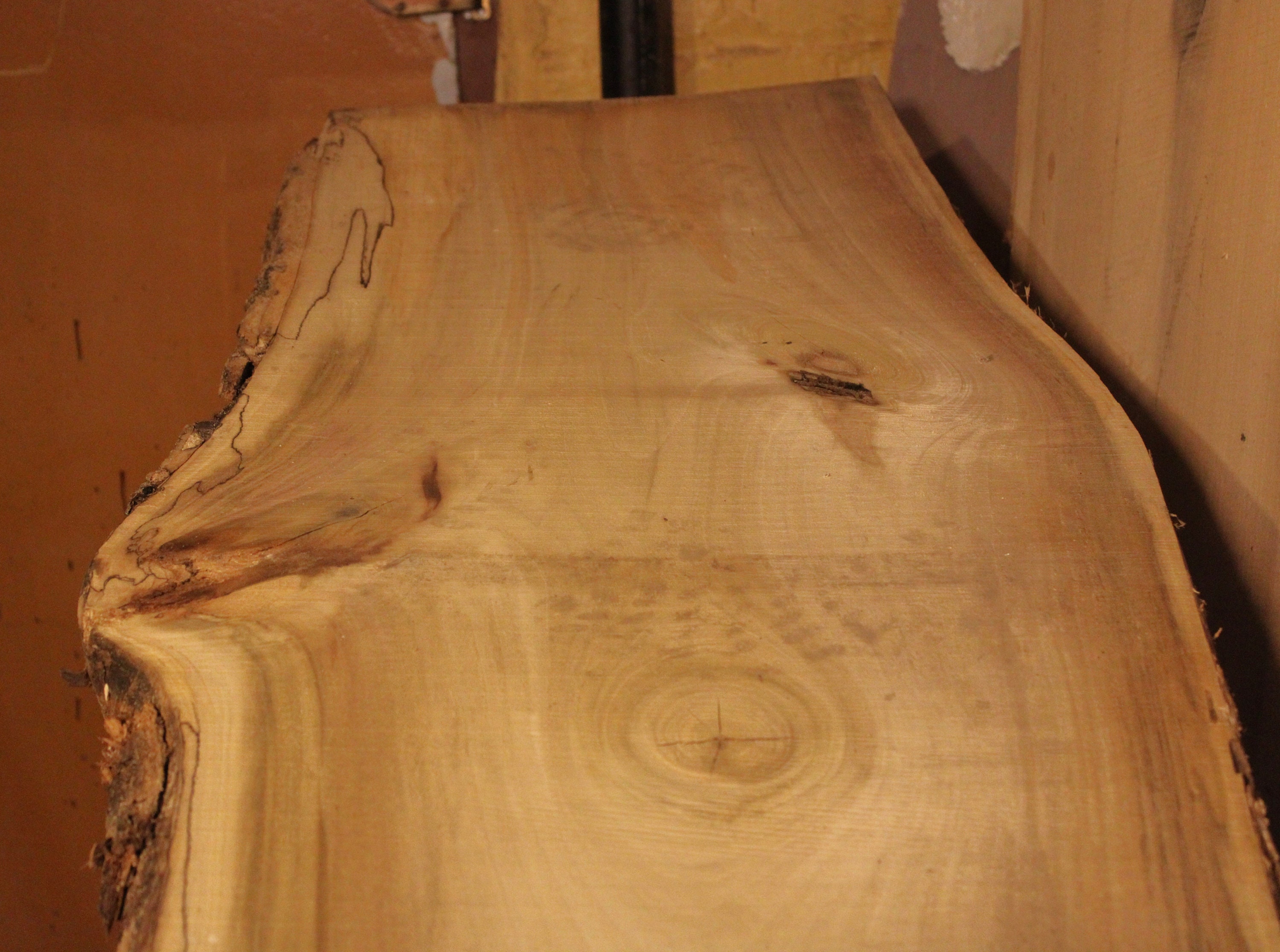 16" Wide Tulip Poplar Live Edge Slab - Sold by the Linear Foot - Etsy