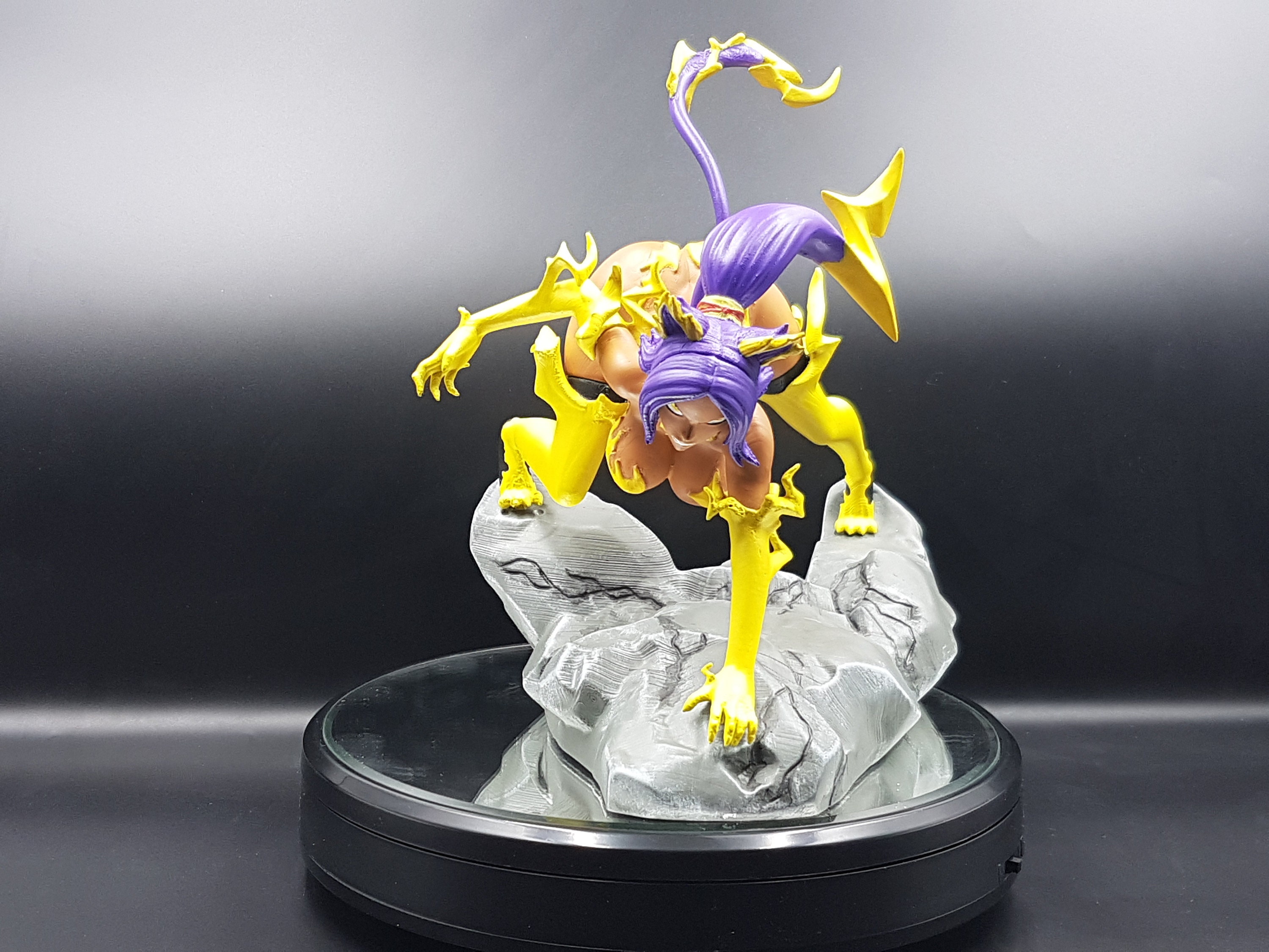 3D Printed Thunder God Cat Yoruichi Bleach - Etsy