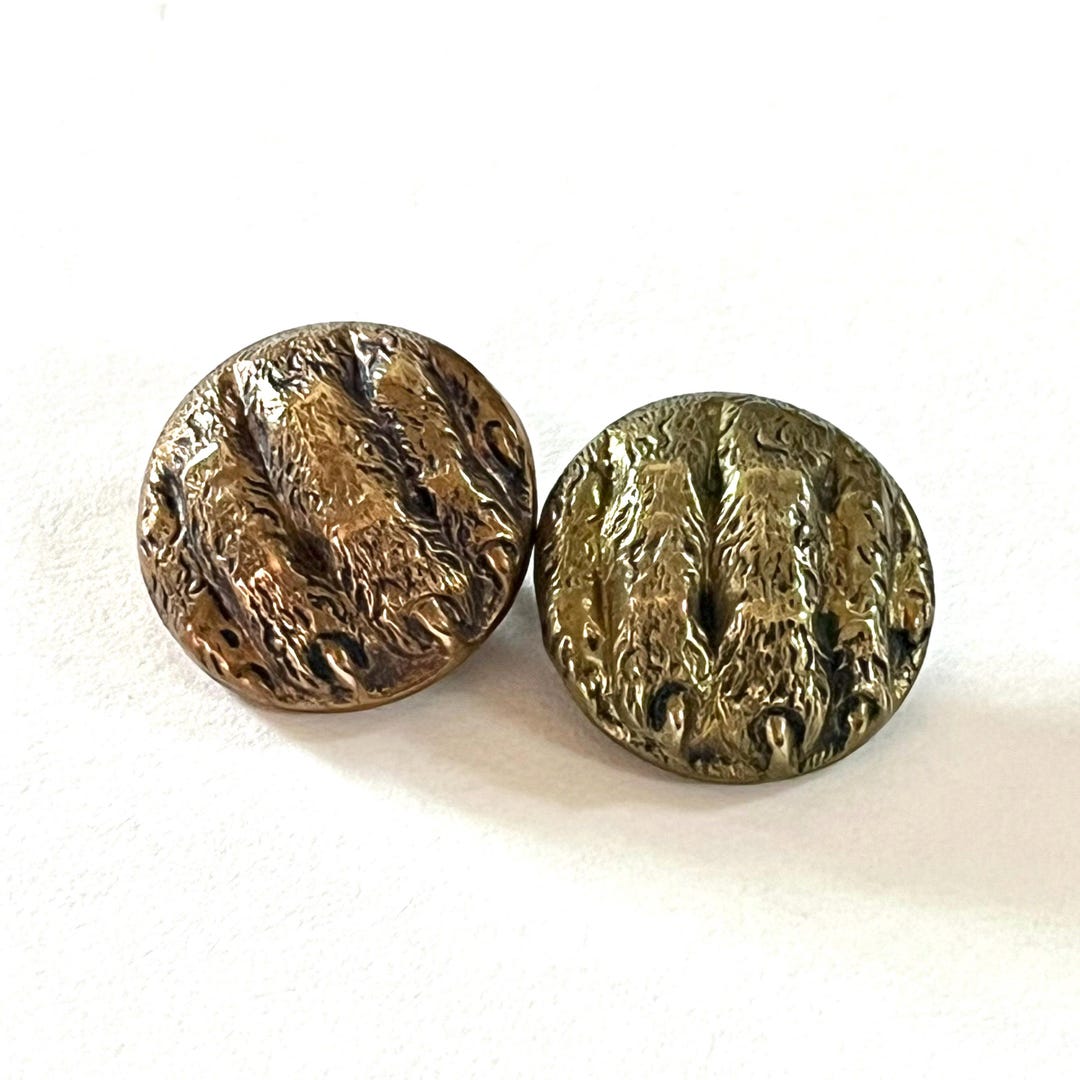 Pair of Antique Bear Claw Buttons. 2 Buttons for the Price. - Etsy