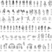 Human Vector Blocks Templates Drawings for Interior Designers ...