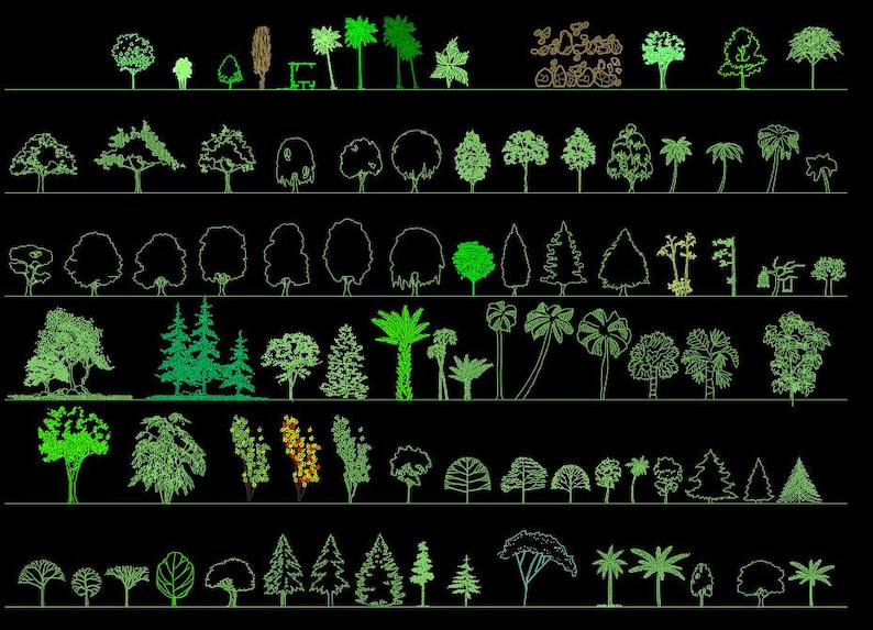 Color Tree Bundle Dwg and DXF Tree, Plant Blocks Templates for Designer ...