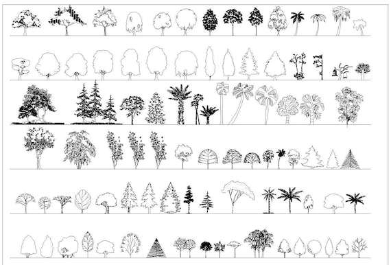 AutoCAD Tree Bundle 2D DWG tree end plant blocks templates for - Etsy ...