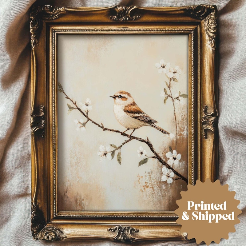Vintage Bird Prints - Etsy