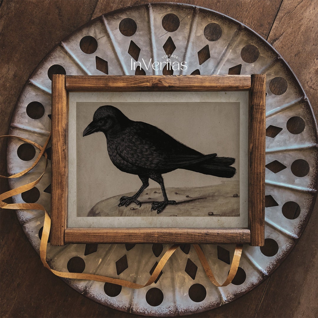 Vintage Raven Art | Dark Cottagecore | Moody Fall & Halloween Decor ...