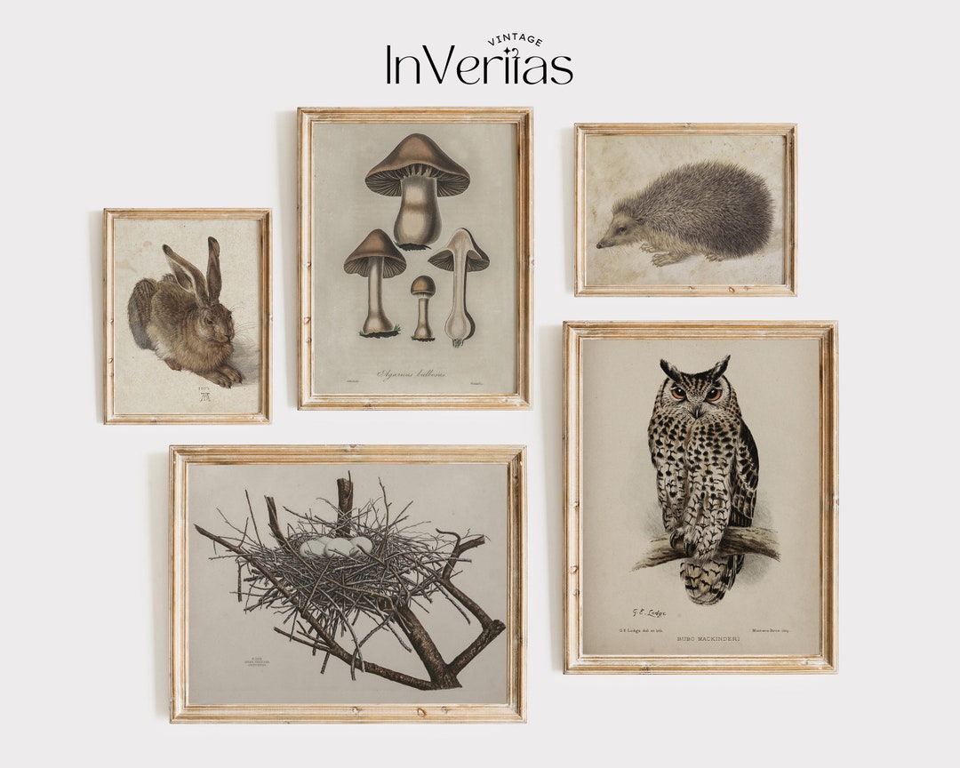 Dark Cottagecore Goblincore Gallery Wall Set | Bundle of 5 Prints ...