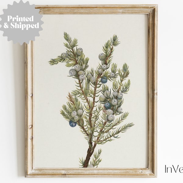 Juniper Home Decor - Etsy