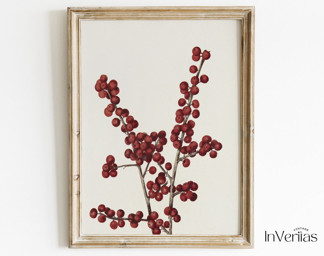 Vintage Winterberry Illustration | Botanical Print | Farmhouse Country ...