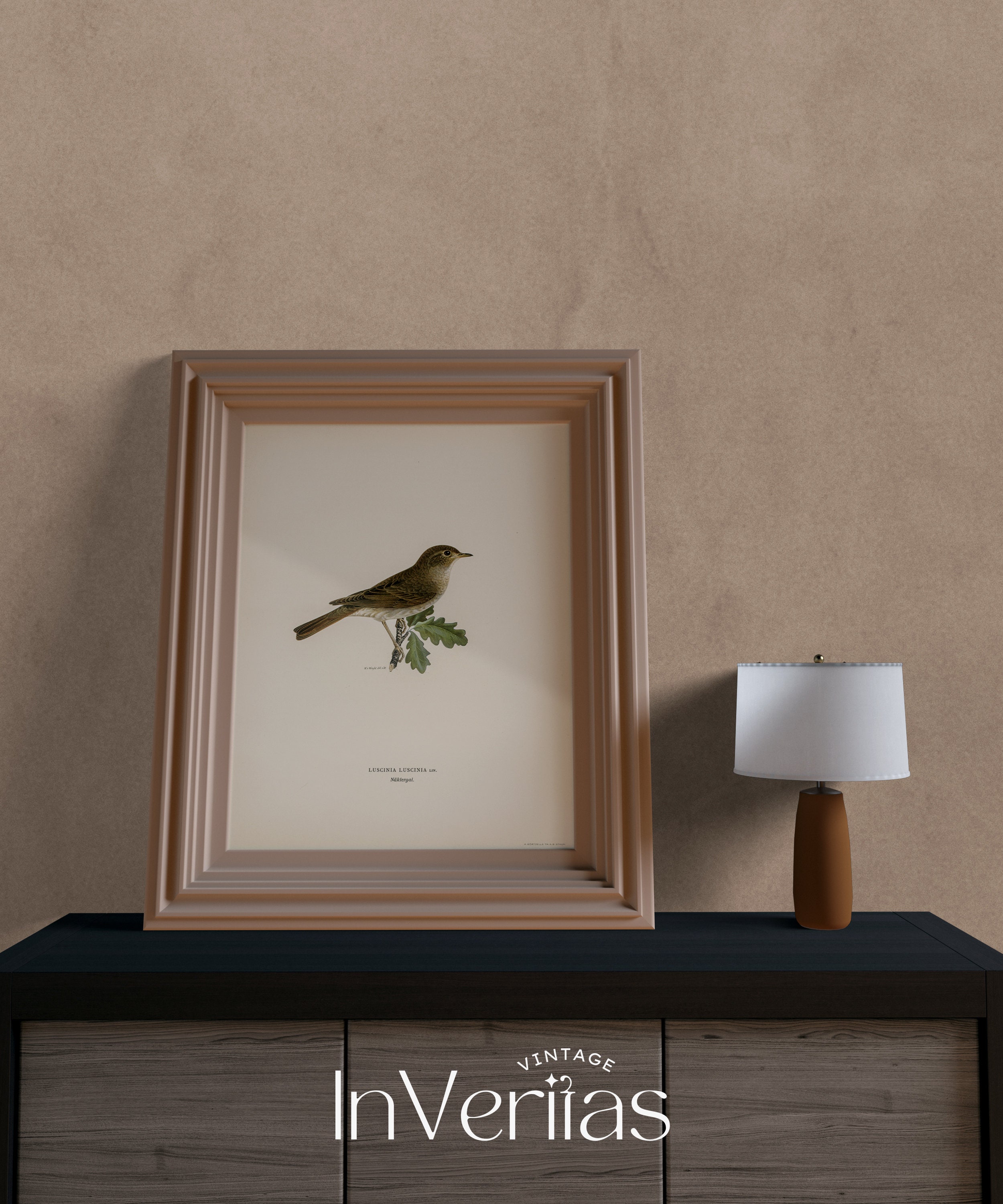 Vintage Bird Illustration Nightingale Print Neutral Decor - Etsy
