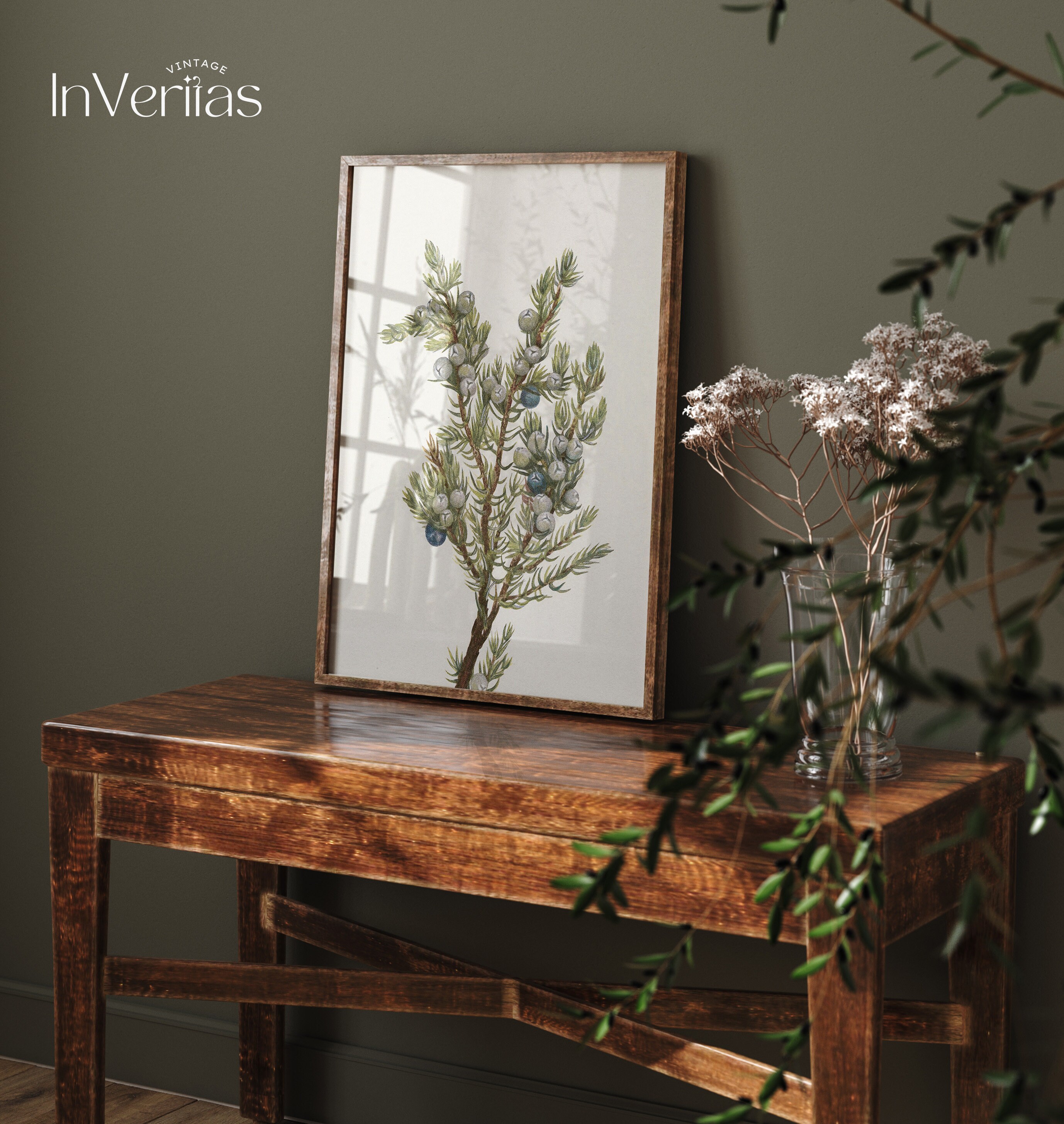 Mountain Juniper Vintage Botanical Print | Farmhouse Winter Decor ...