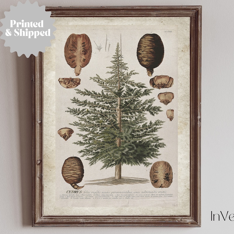 Cedar Prints - Etsy