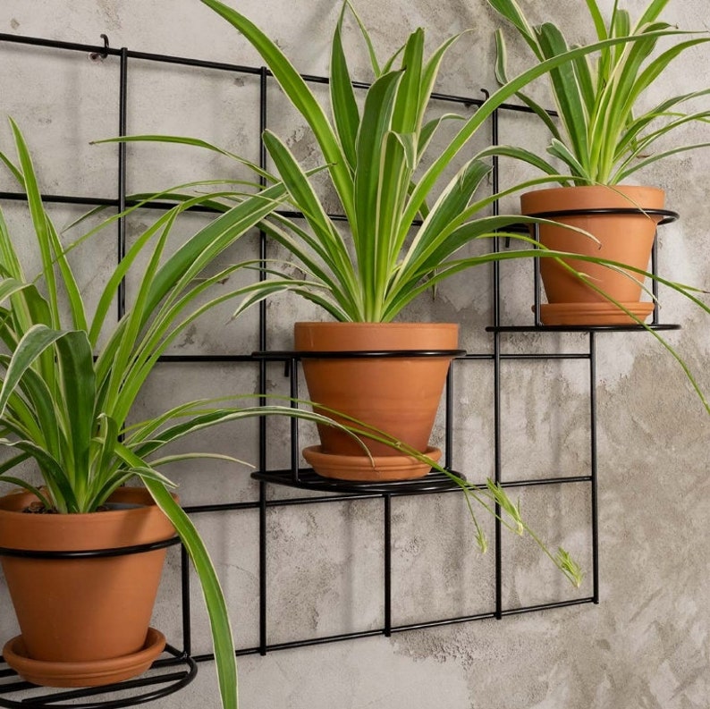 Metal Wall Plant Hanger, Grid Trellis With 3 Baskets - Etsy
