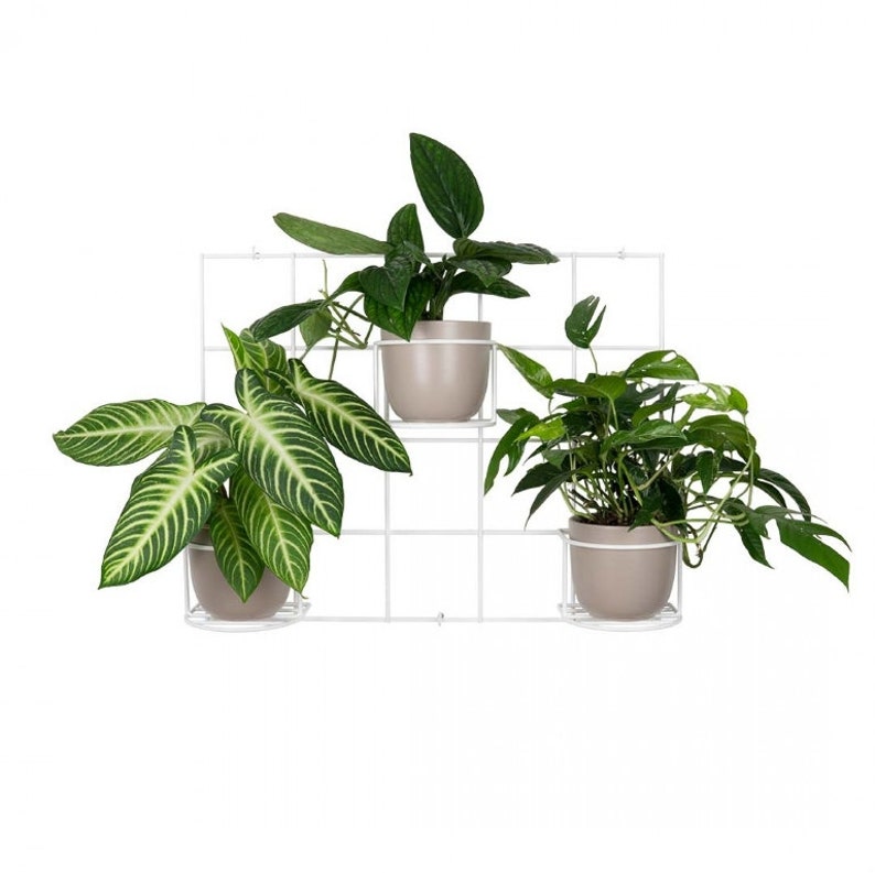Metal Wall Plant Hanger, Grid Trellis With 3 Baskets - Etsy