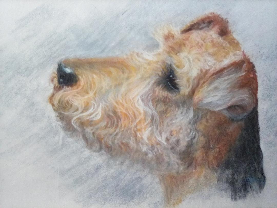 Original Pet Pastel Portrait From Photo - Etsy