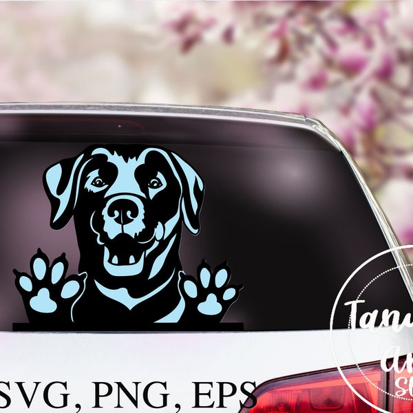 Peeking Lab Svg - Etsy