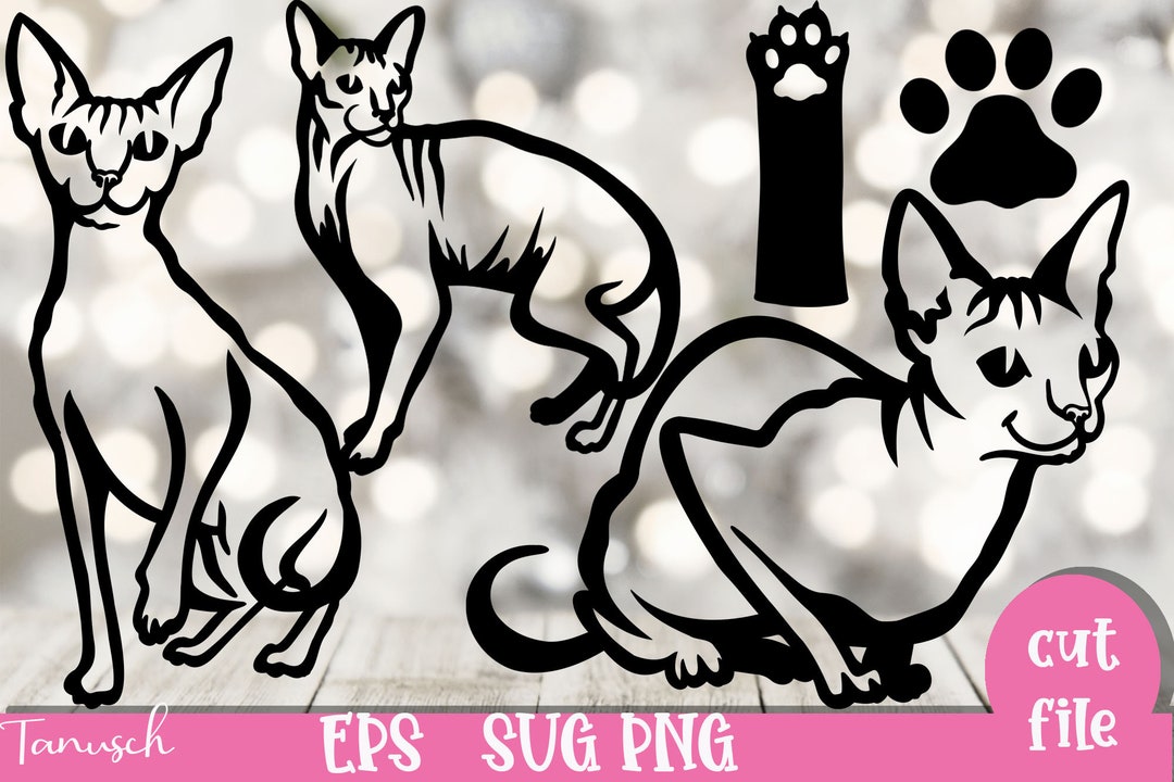 Sphynx Cat SVG Bundle Naked Cat Silhouette Ar Rear Window Sticker Cut ...