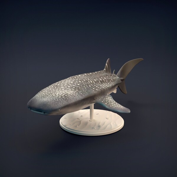 Miniature Whale - Etsy