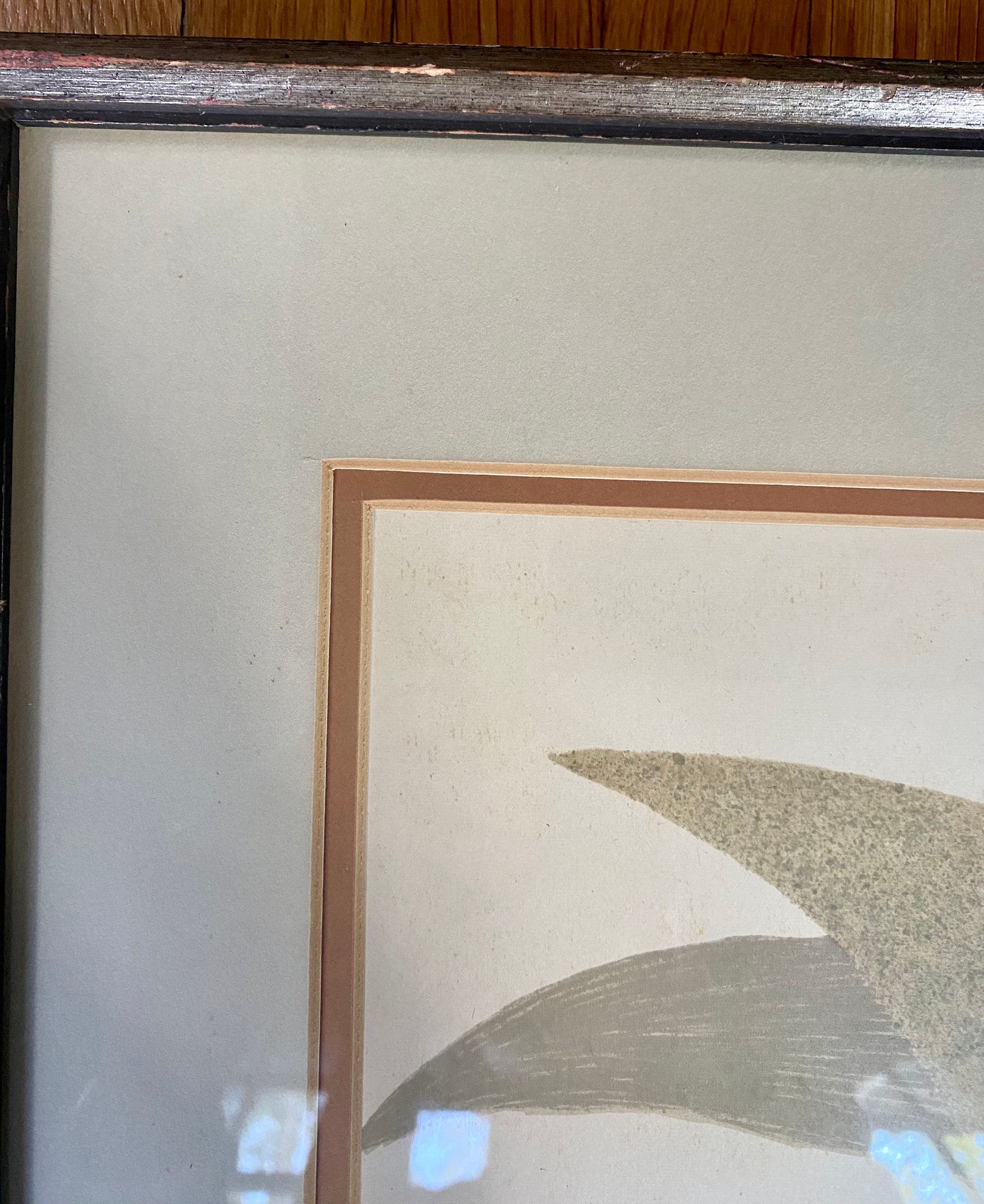 Original Litograph by Georges Braque DOVE Stone Initialed - Etsy