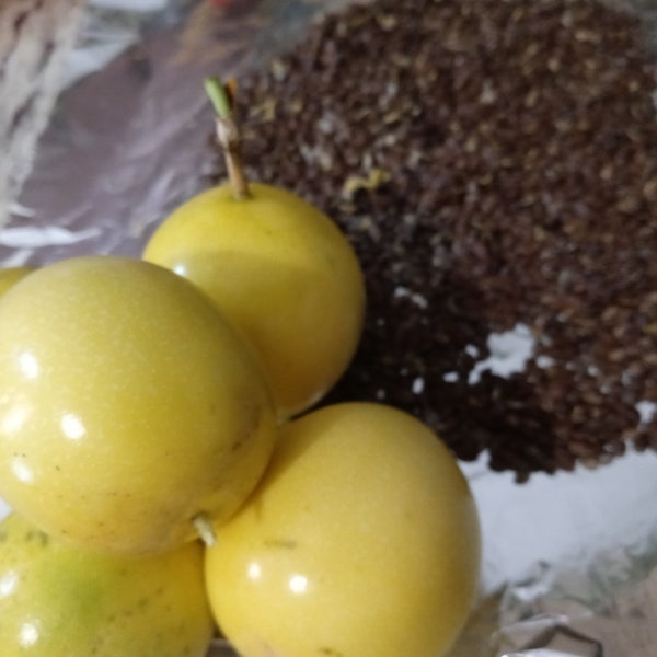 Fruit Seeds Etsy