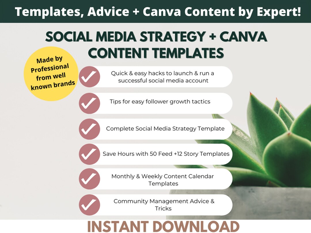 Social Media Management Guide: 60 Canva Templates, Social Strategy ...