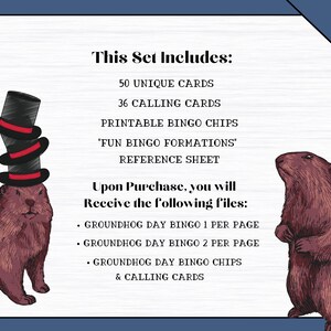 Groundhog Day Bingo, Groundhog Day Activity, Groundhog Day Game, Fun ...