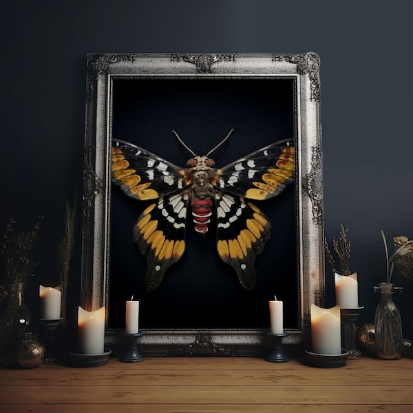 Death Art - Etsy