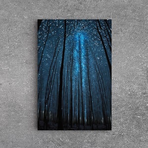 Birch Tree Forest at Night, Starry Night Sky, Framed Canvas Print, Boho ...