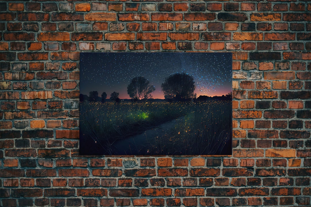 Fireflies Light up the Oklahoma Prairie Under a Starry Night Sky ...