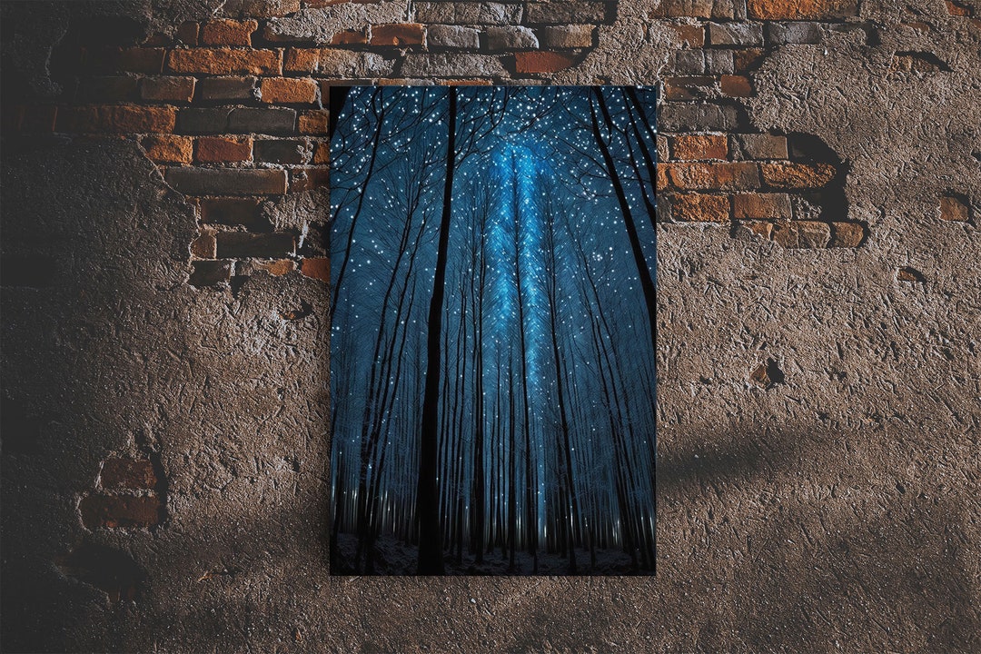 Birch Tree Forest at Night Starry Night Sky Framed Canvas - Etsy