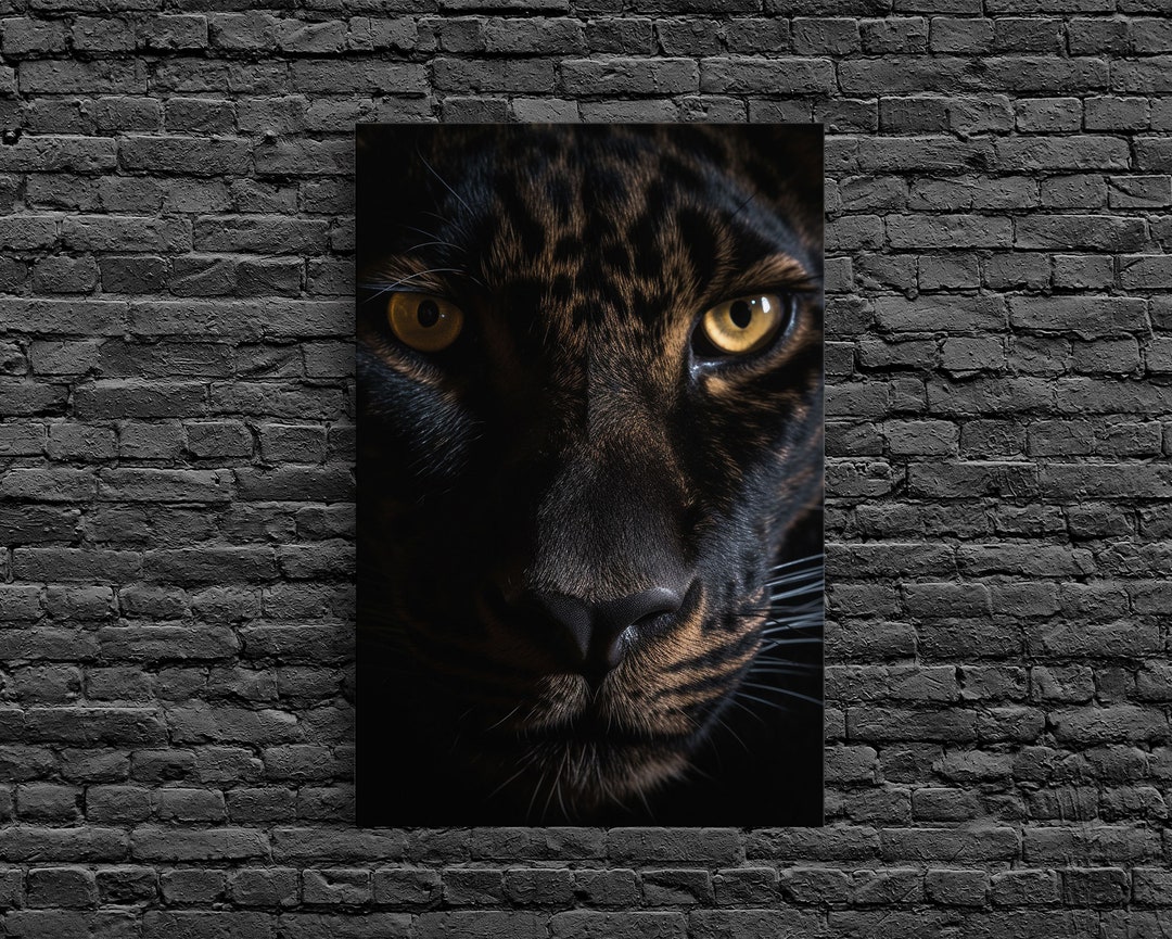 A Look Into Darkness, Beautiful Black Panther Portrait, Cat Photography ...