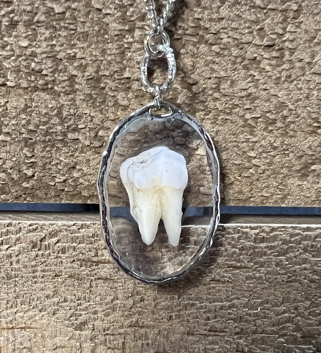Deer Tooth Pendant - Etsy