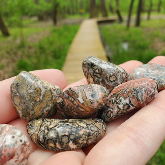 Tumbled Leopard Skin Jasper Jaguar Jasper Stone Crystal - Etsy