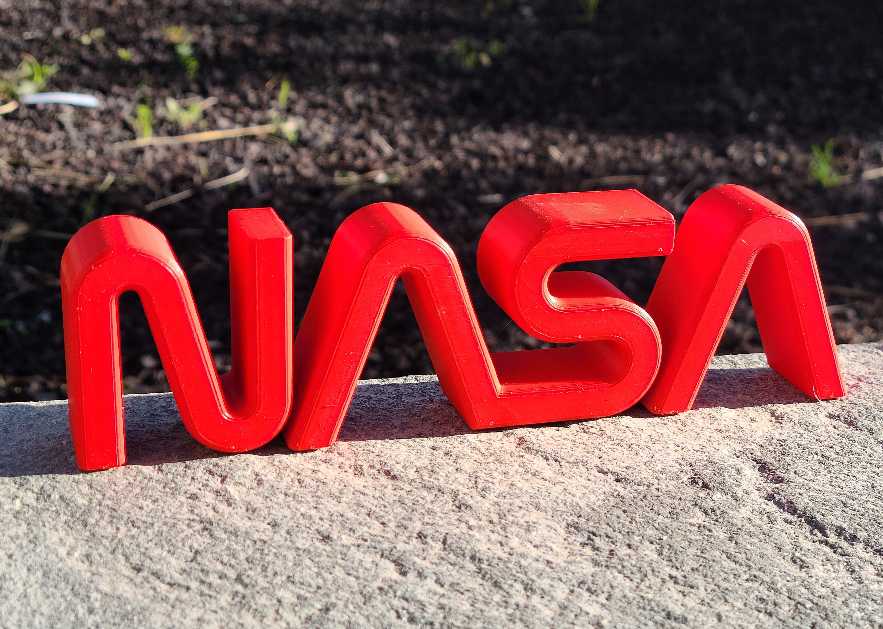 NASA Worm Logo - Etsy