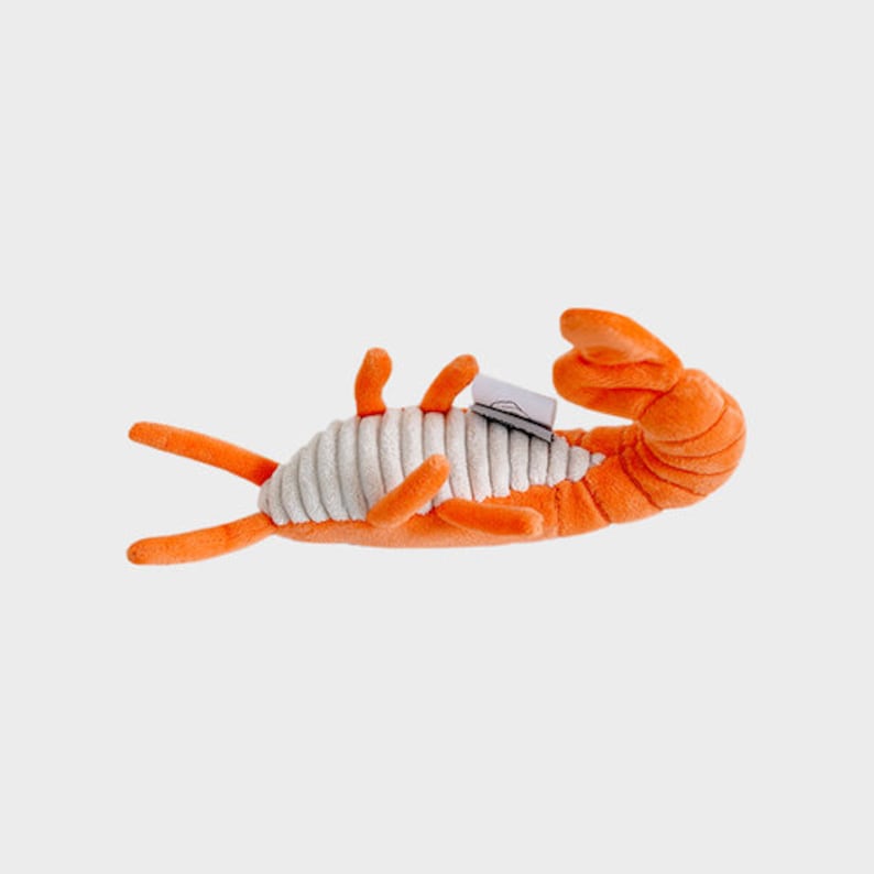 HOWLPOT Shrimp Squeaky Chew Dog Toys Puppy Seafood Entertain Playtime ...