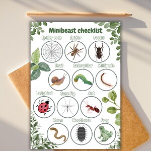 Minibeast Scavenger Bug Hunt Activity Sheet Downloadable Bug Hunt Sheet ...